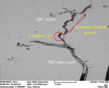 برنا صنعت آرتین - HIC & SSC